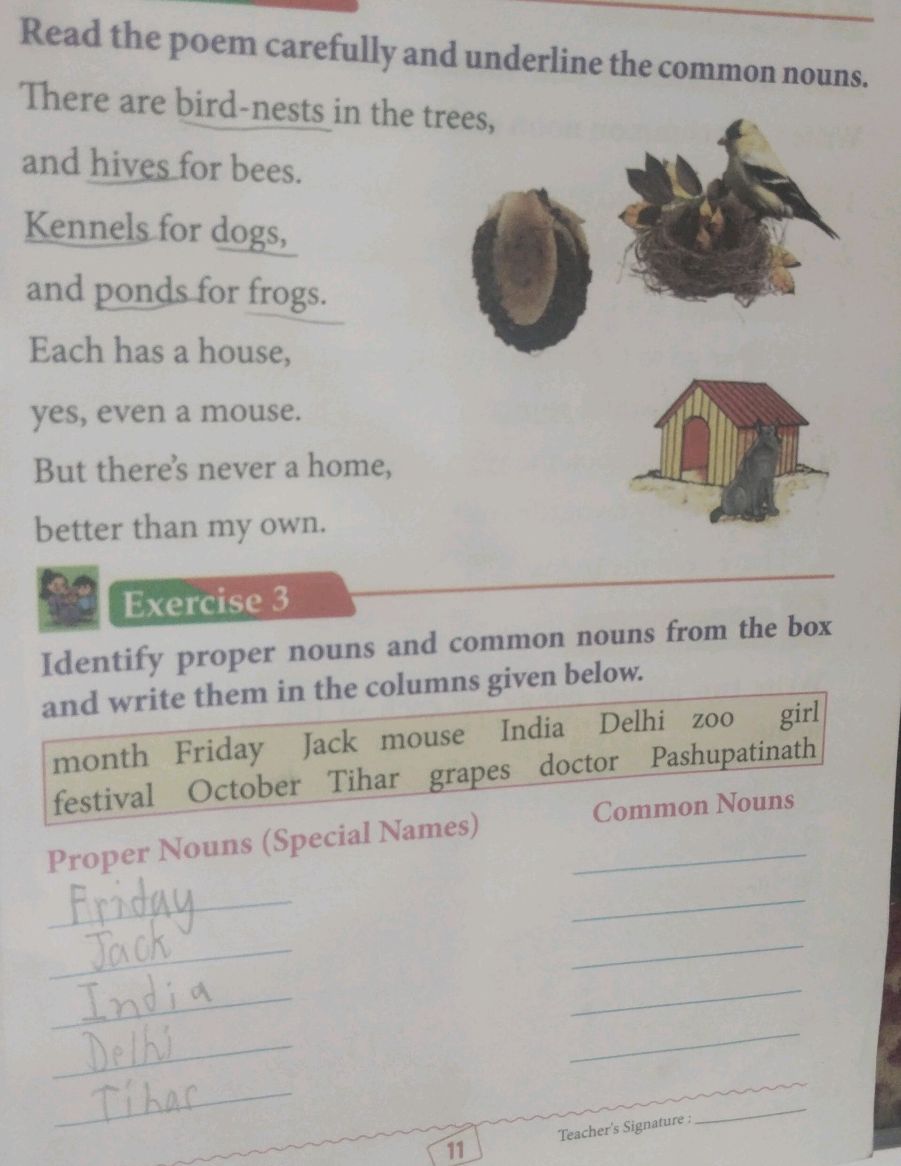 Identify proper nouns and common nouns from | StudyX