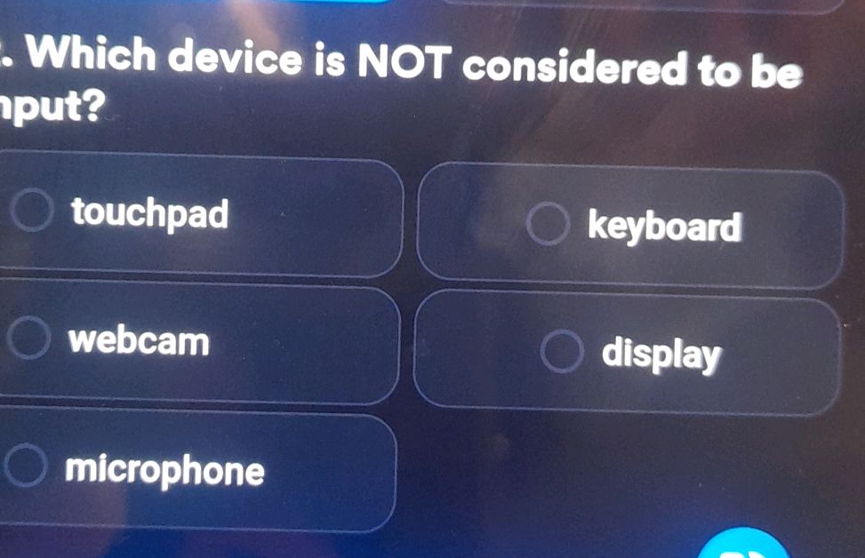 Which device is NOT considered to be input? | StudyX