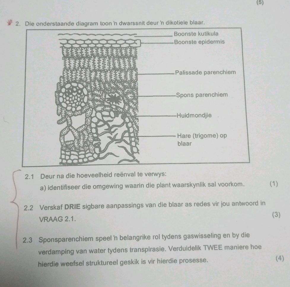 2. Die onderstaande diagram toon 'n | StudyX