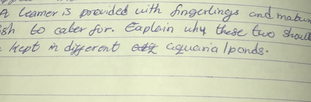 A leamer is provided with fingerlings and | StudyX