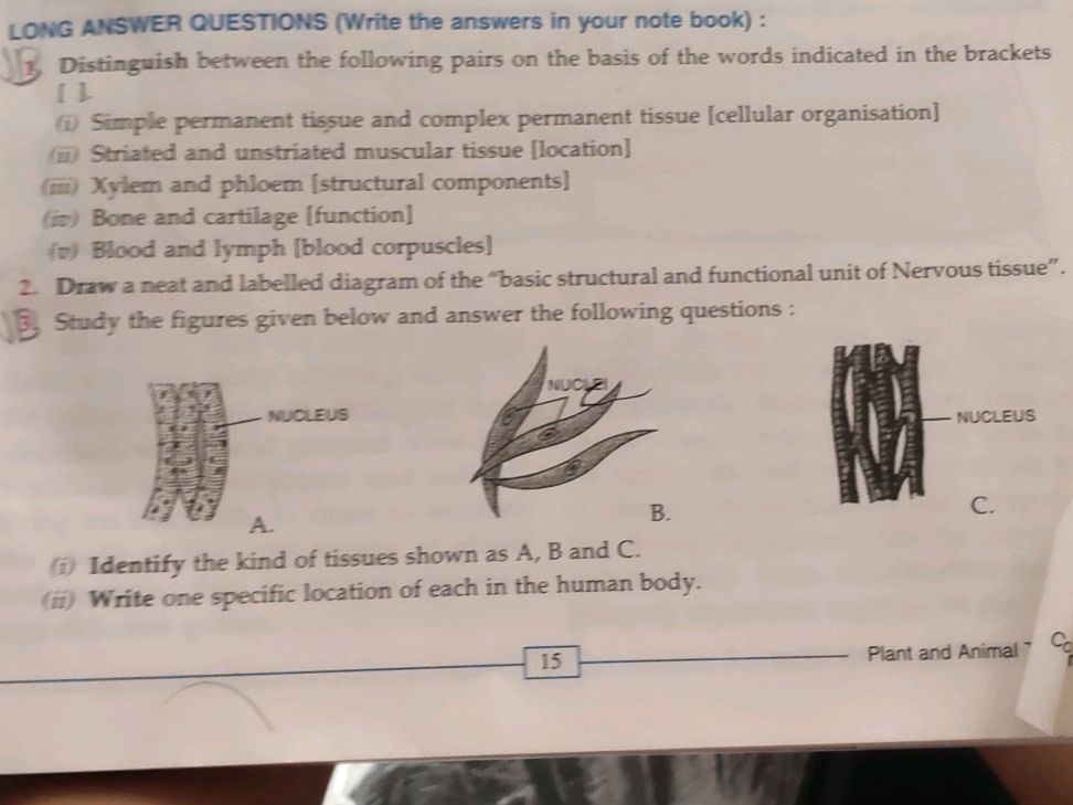 Distinguish between the following pairs on | StudyX