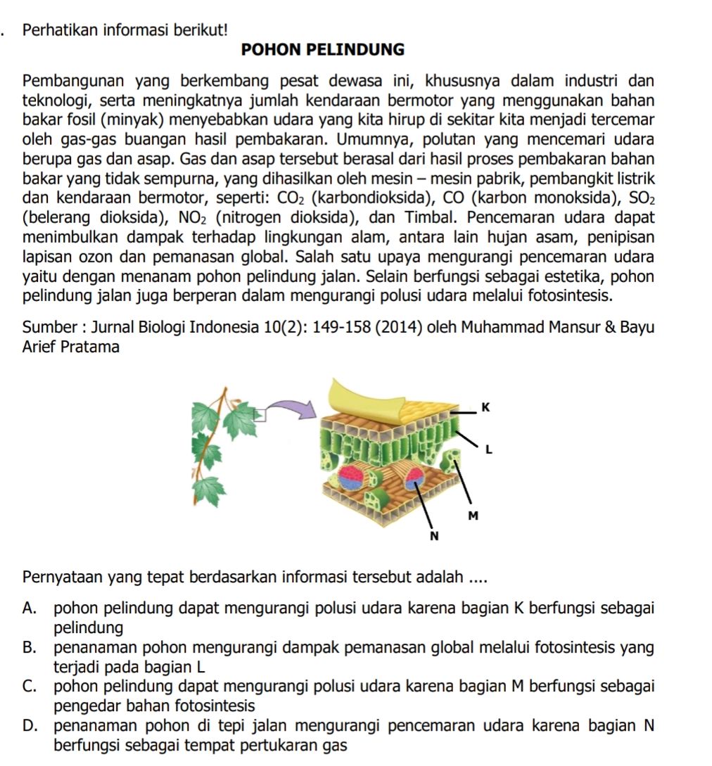 Pernyataan yang tepat berdasarkan informasi | StudyX