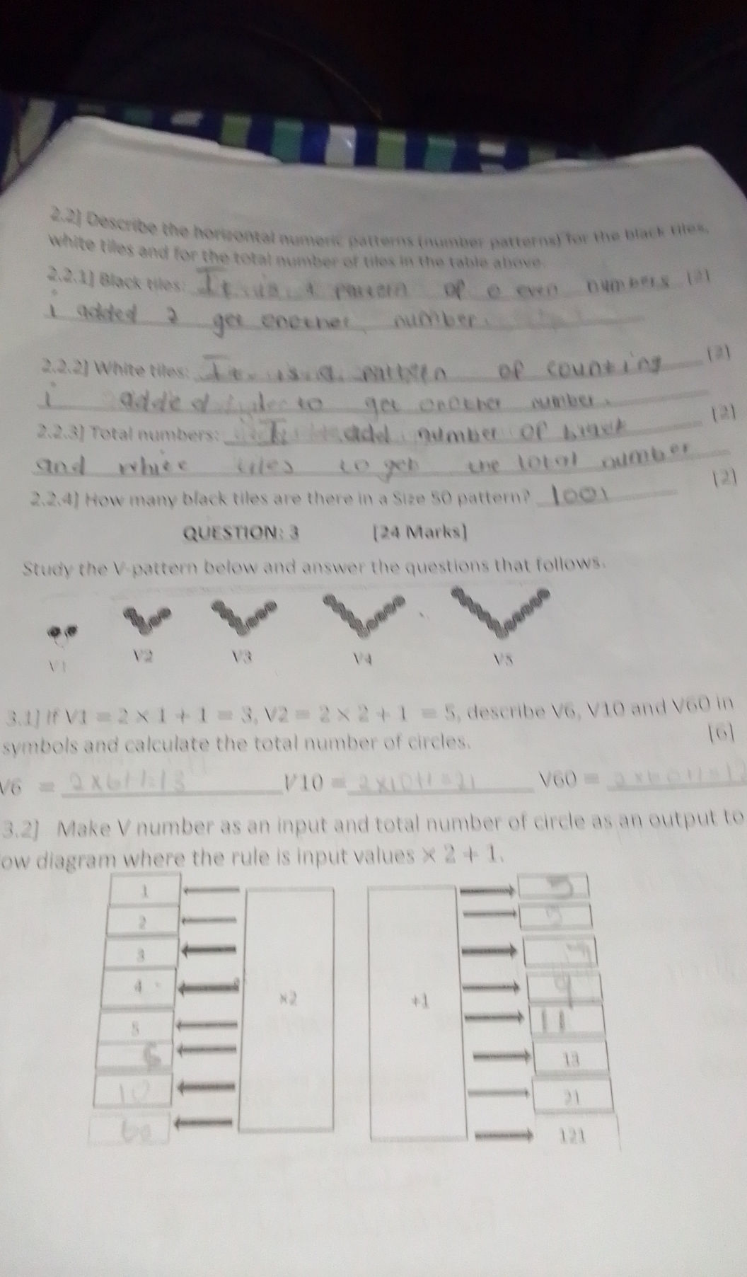 2.2] Describe the horizontal numeric | StudyX