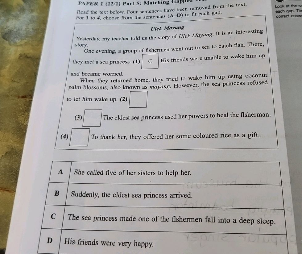 Read the text below. Four sentences have | StudyX