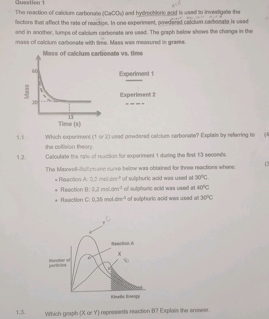 The reaction of calcium carbonate (CaCO3) | StudyX