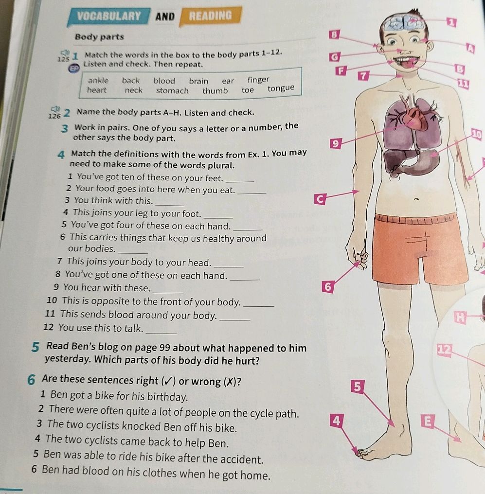 1 Match the words in the box to the body | StudyX