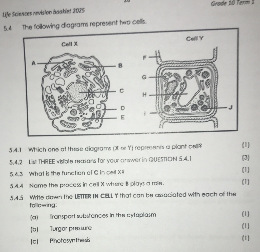 5.4 The following diagrams represent two | StudyX