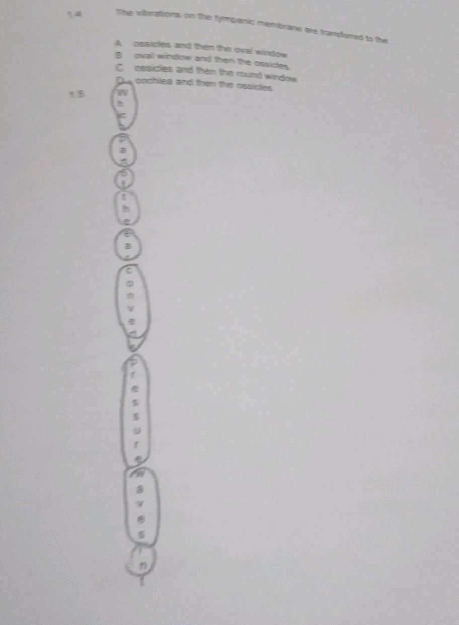 1. The vibrations on the tympanic membrane | StudyX