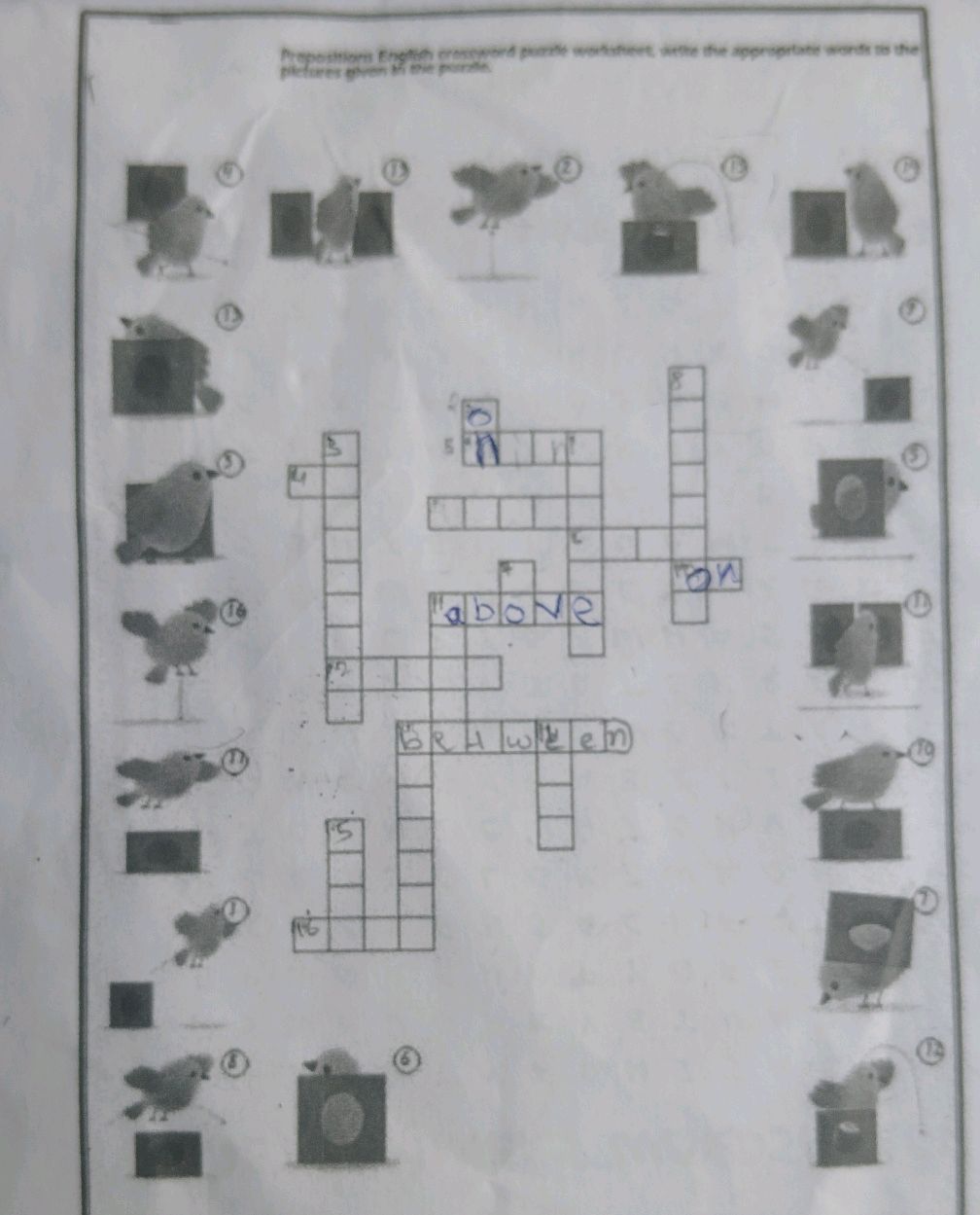 Prepositions English crossword puzzle | StudyX