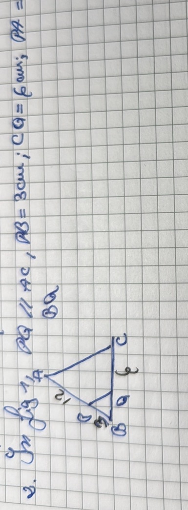 Triangle Geometry Problem | StudyX