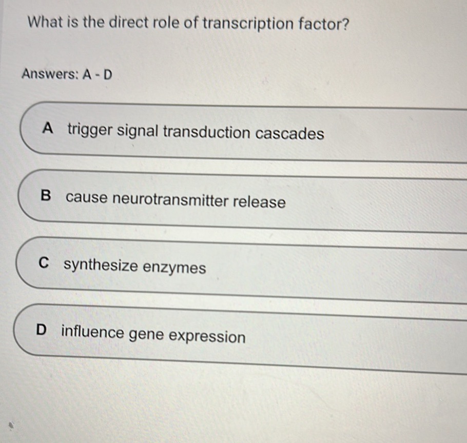 What is the direct role of transcription