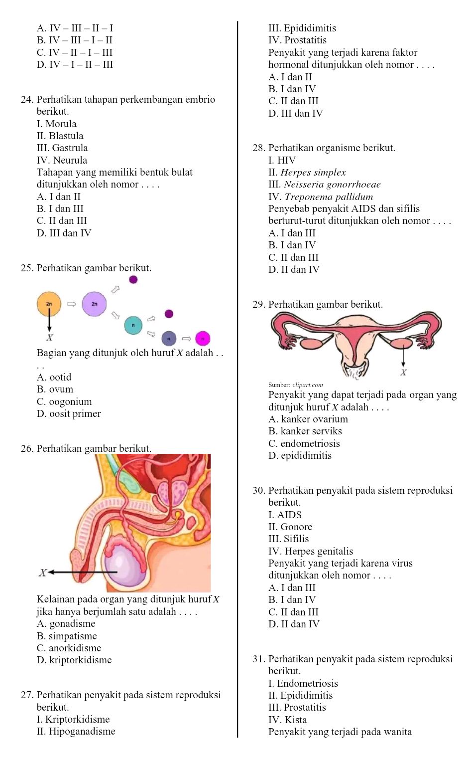 24. Perhatikan tahapan perkembangan embrio | StudyX