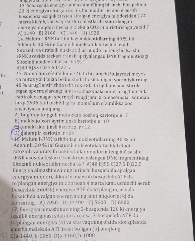 13. Sebargada energiya almashinuvining | StudyX