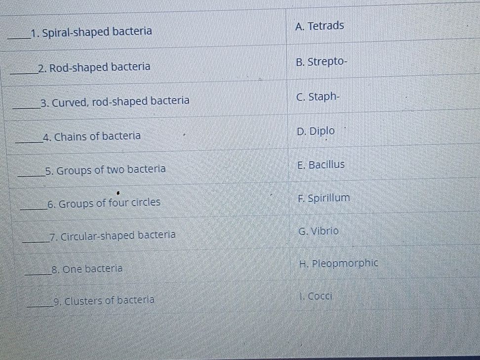 1. Spiral-shaped bacteria 2. Rod-shaped | StudyX