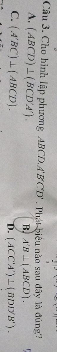 Câu 3. Cho hình lập phương ABCD.A'B'C'D'. | StudyX