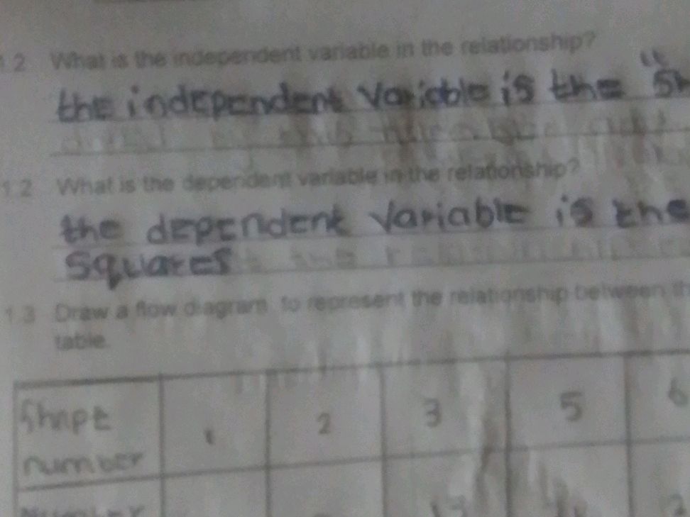 1. 2 What is the independent variable in | StudyX