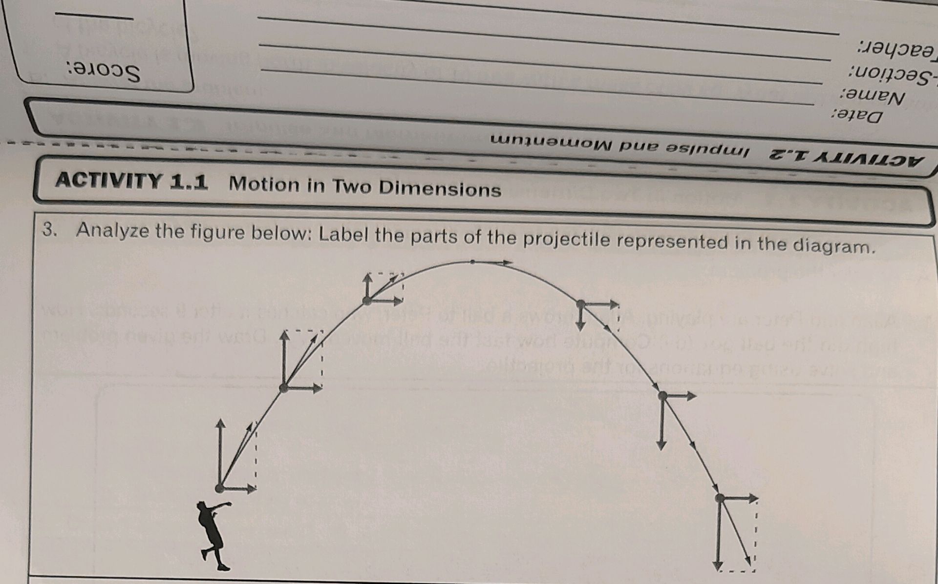 3. Analyze the figure below: Label the parts | StudyX