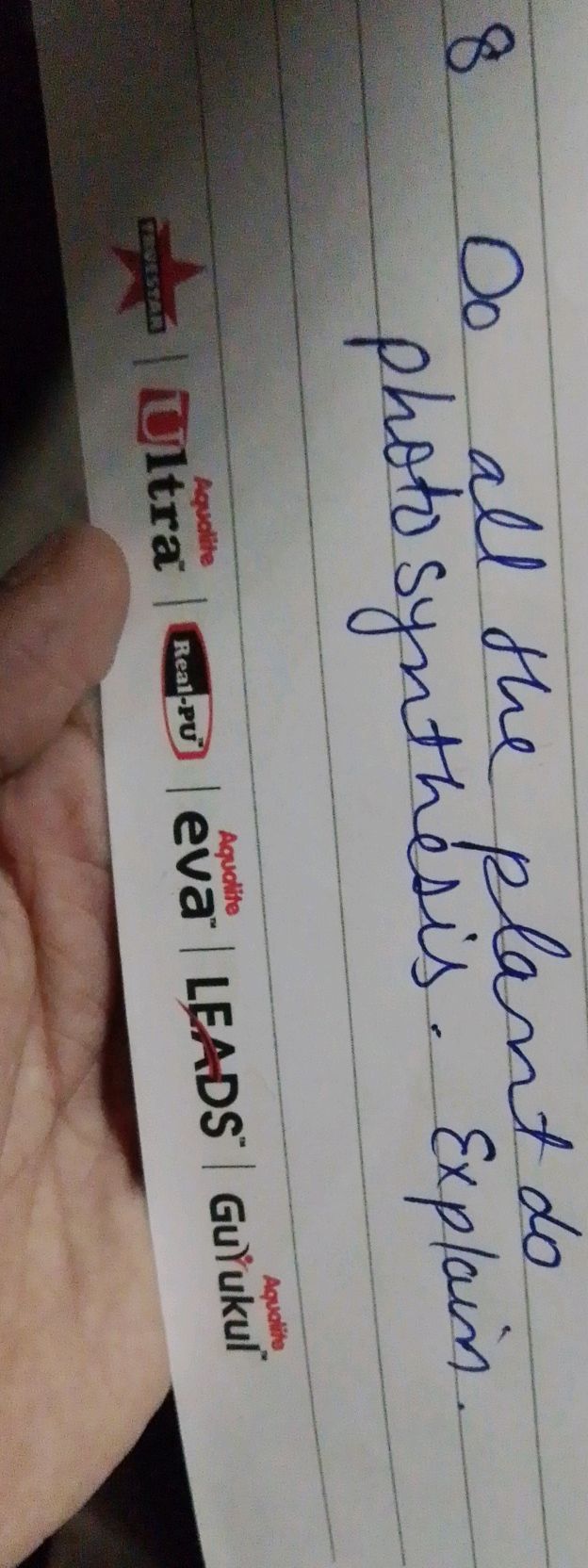 Do all the plant do photosynthesis. Explain. | StudyX