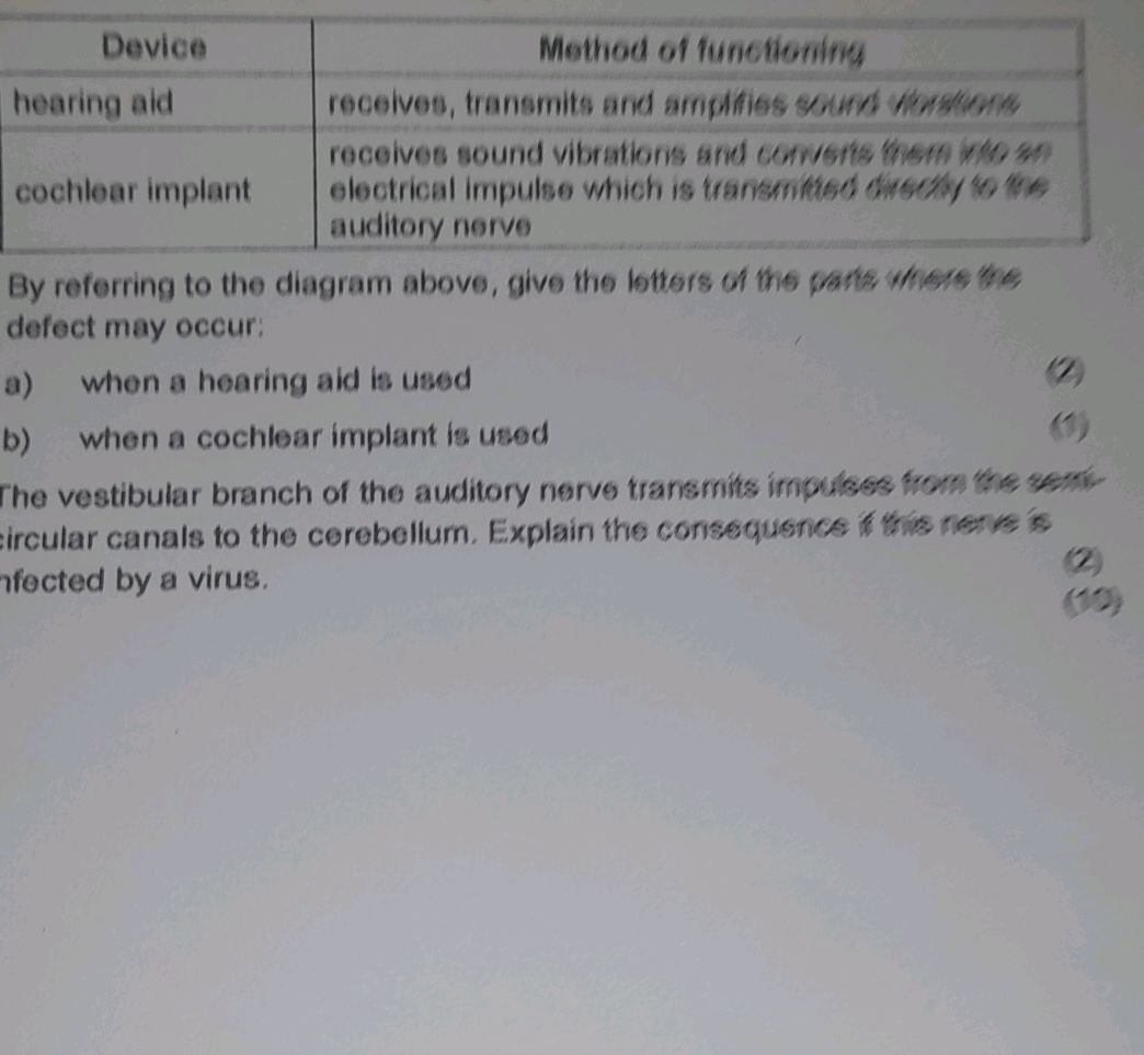 | Device | Method of functioning | |---|---| | StudyX