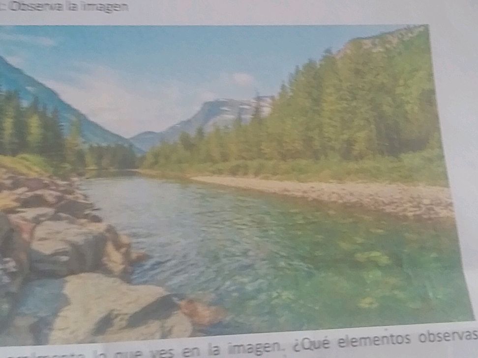 Observa la imagen. Simplemente, lo que ves | StudyX