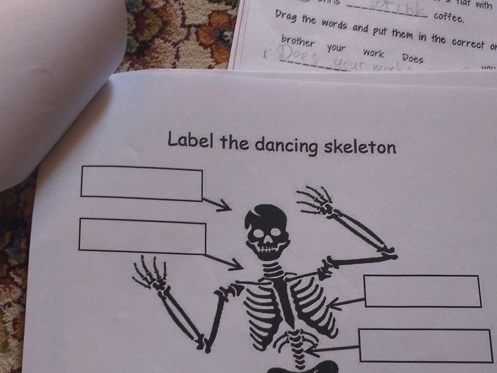 Label the dancing skeleton | StudyX