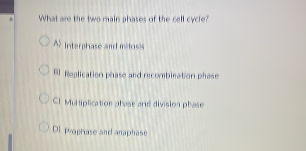 What are the two main phases of the cell | StudyX