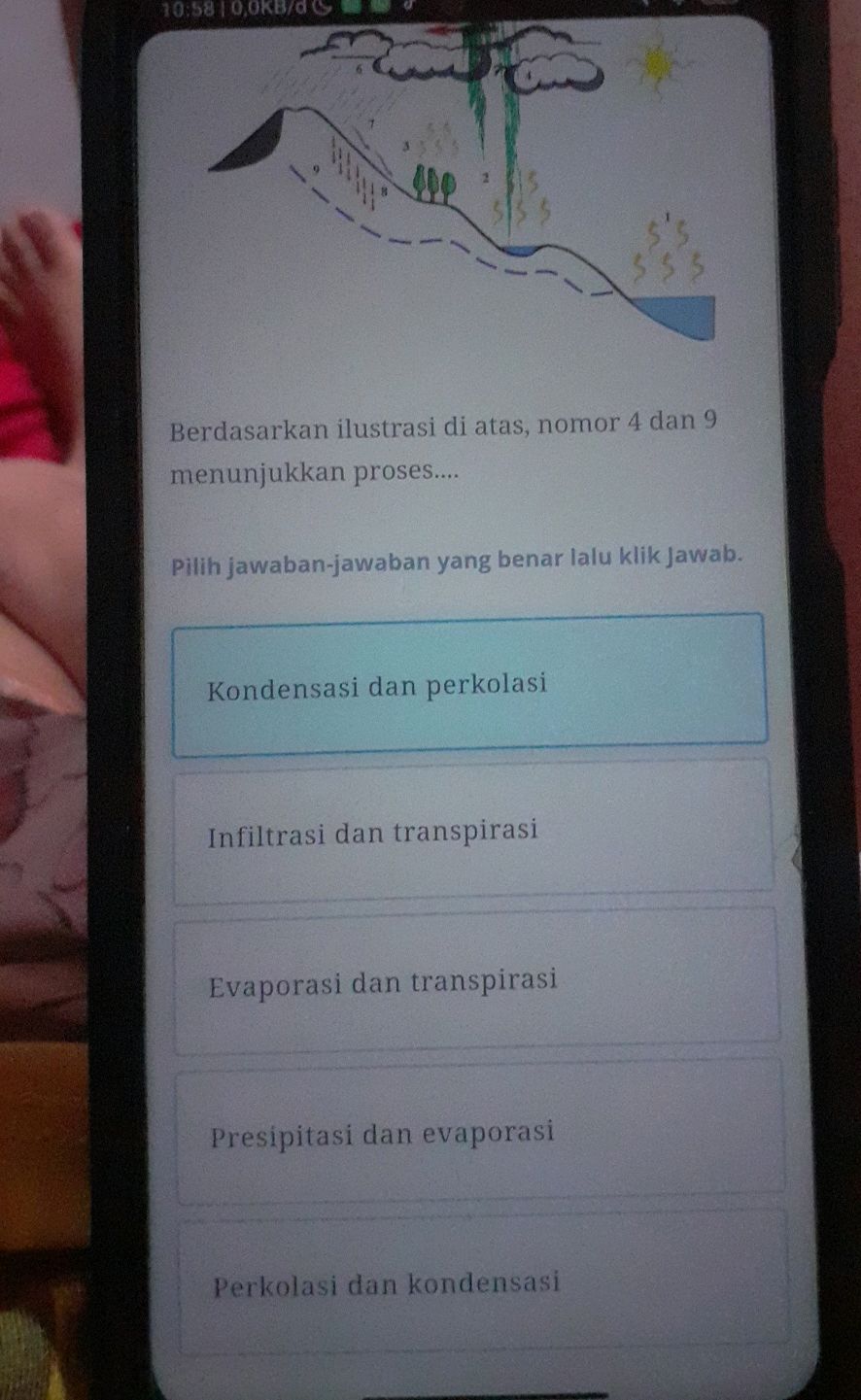 Berdasarkan ilustrasi di atas, nomor 4 dan 9 | StudyX