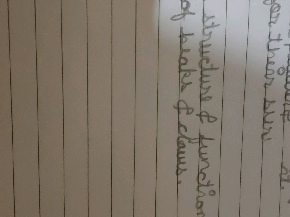 Beak and Claw Structure and Function | StudyX