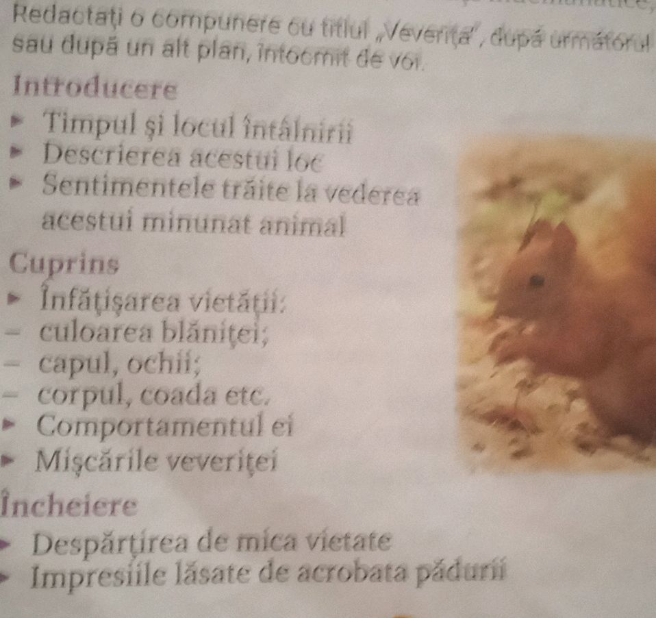 Redactați o compunere cu titlul „Veverița”, | StudyX