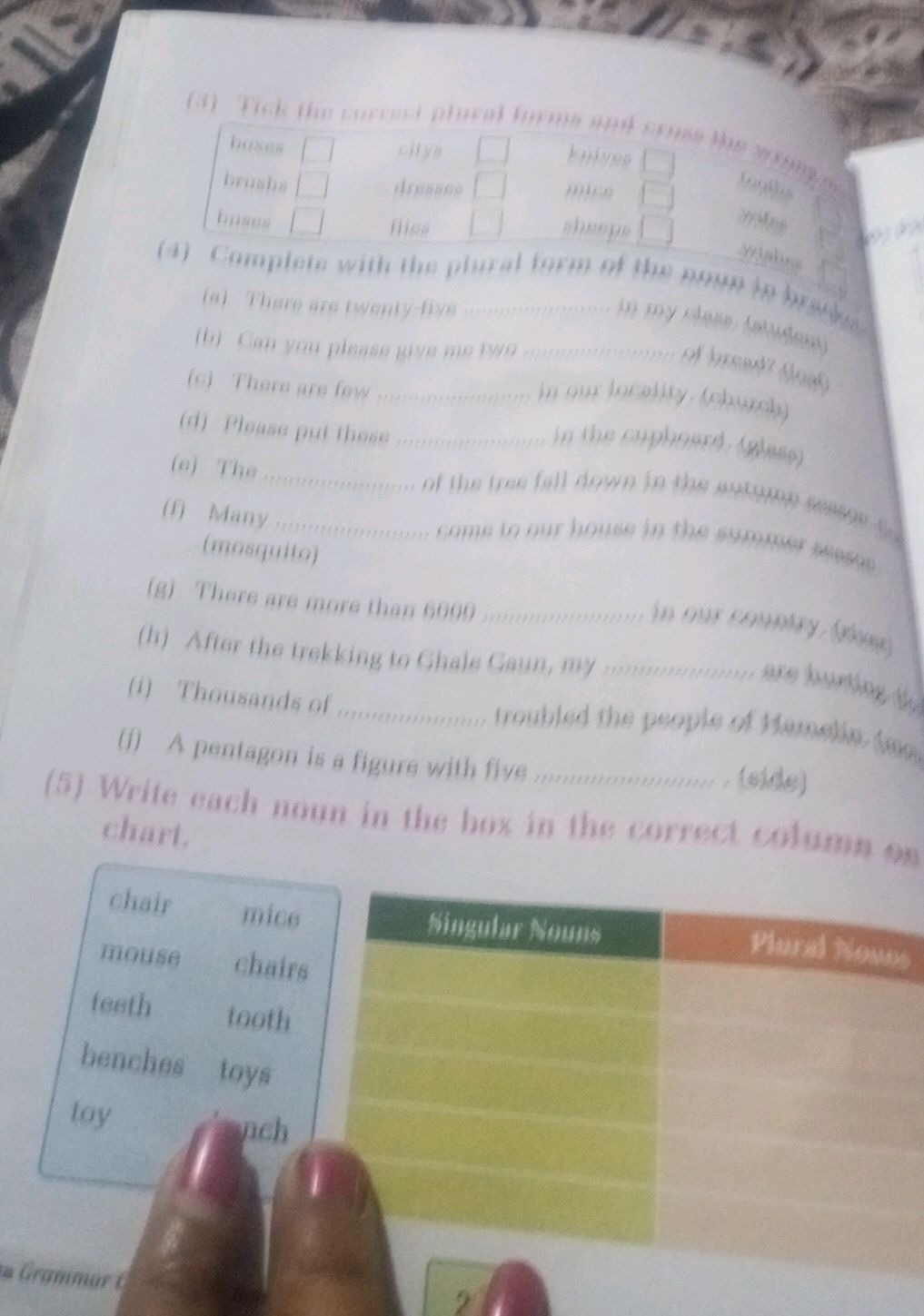 (3) Tick the correct plural forms and cross | StudyX