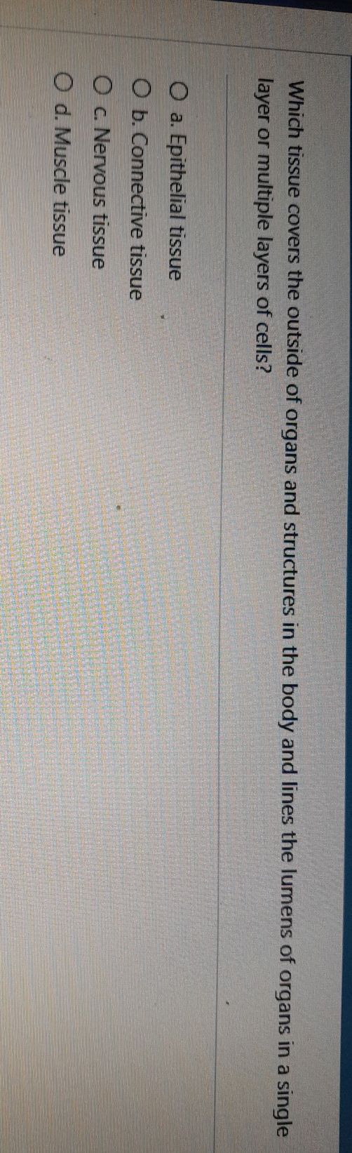 Which tissue covers the outside of organs | StudyX