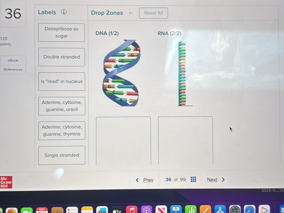 The image presents a drag-and-drop activity | StudyX