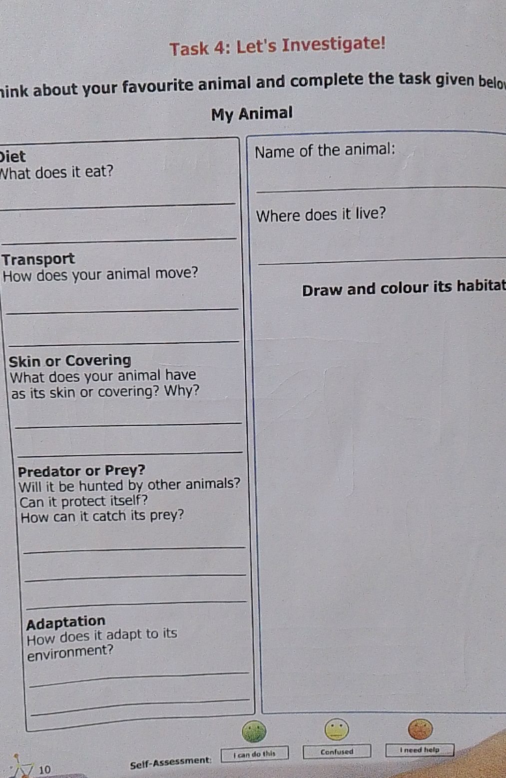 Task 4: Let's Investigate! My Animal Diet | StudyX
