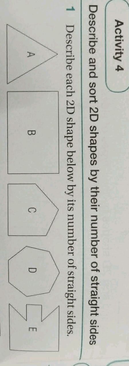 Describe and sort 2D shapes by their number | StudyX