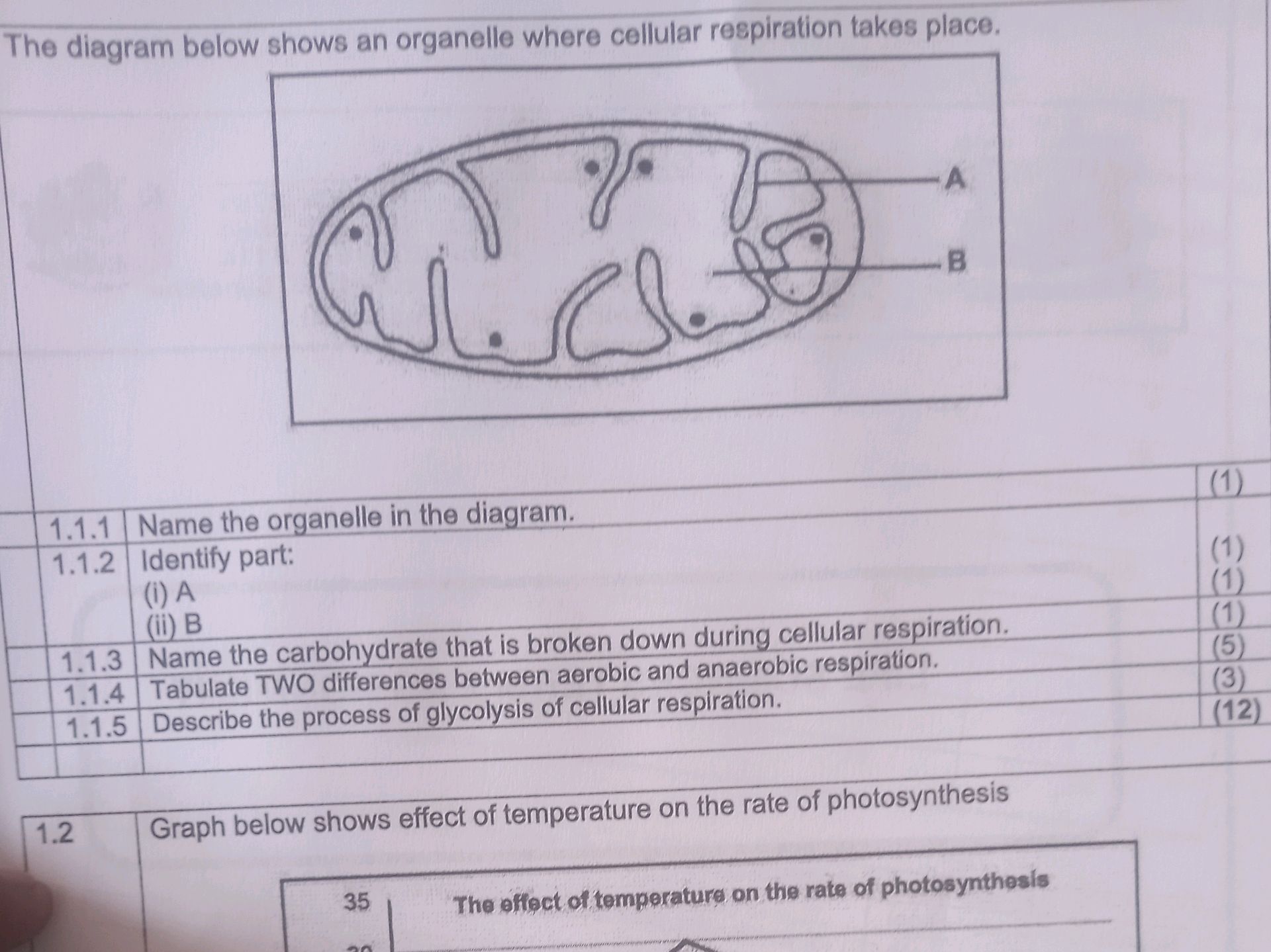 The diagram below shows an organelle where | StudyX