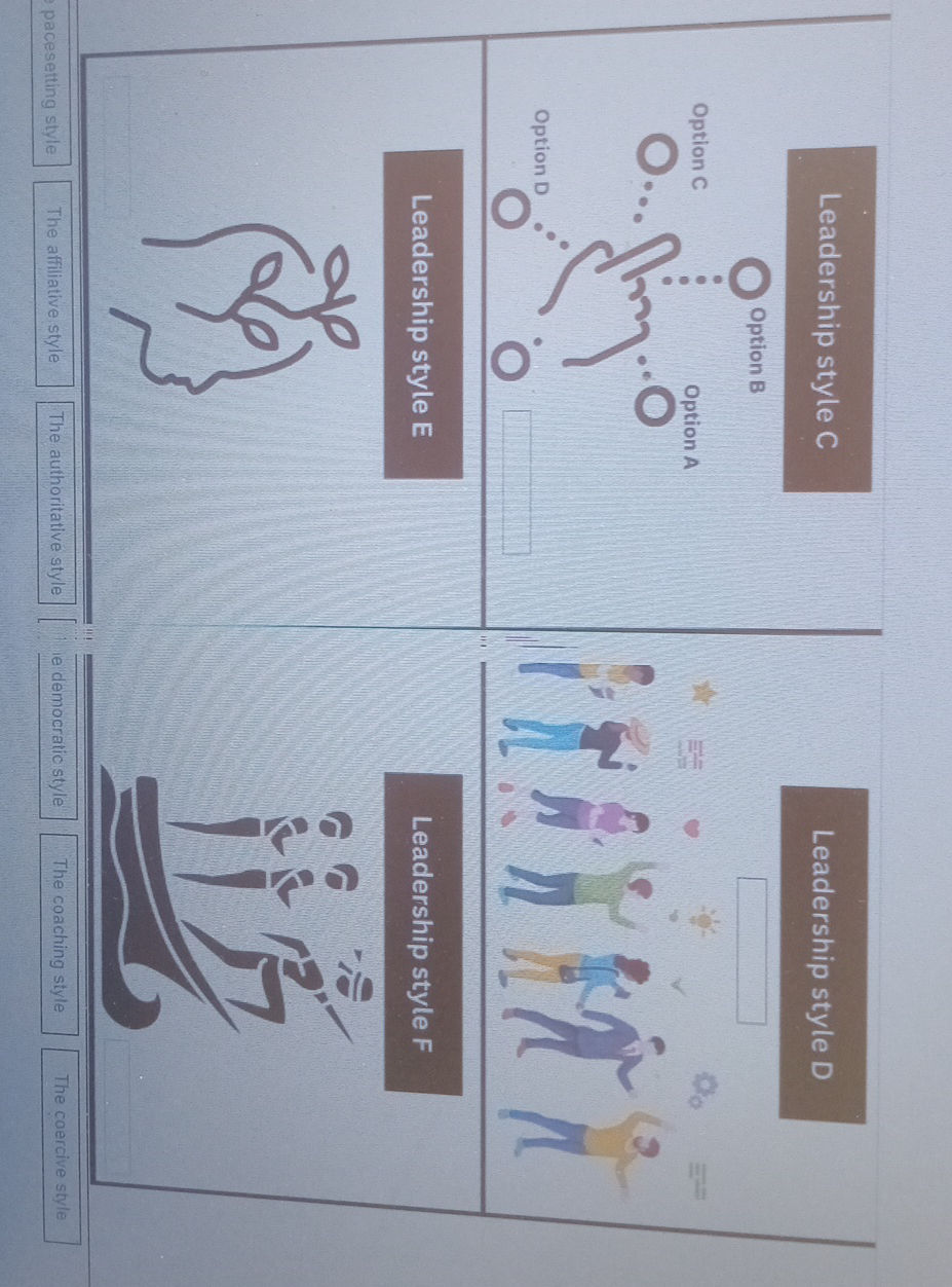 Leadership style C Option C Option B Option | StudyX