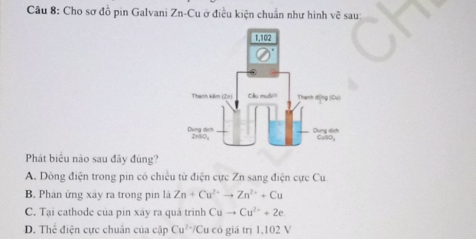 Câu 8: Cho sơ đồ pin Galvani Zn-Cu ở điều | StudyX