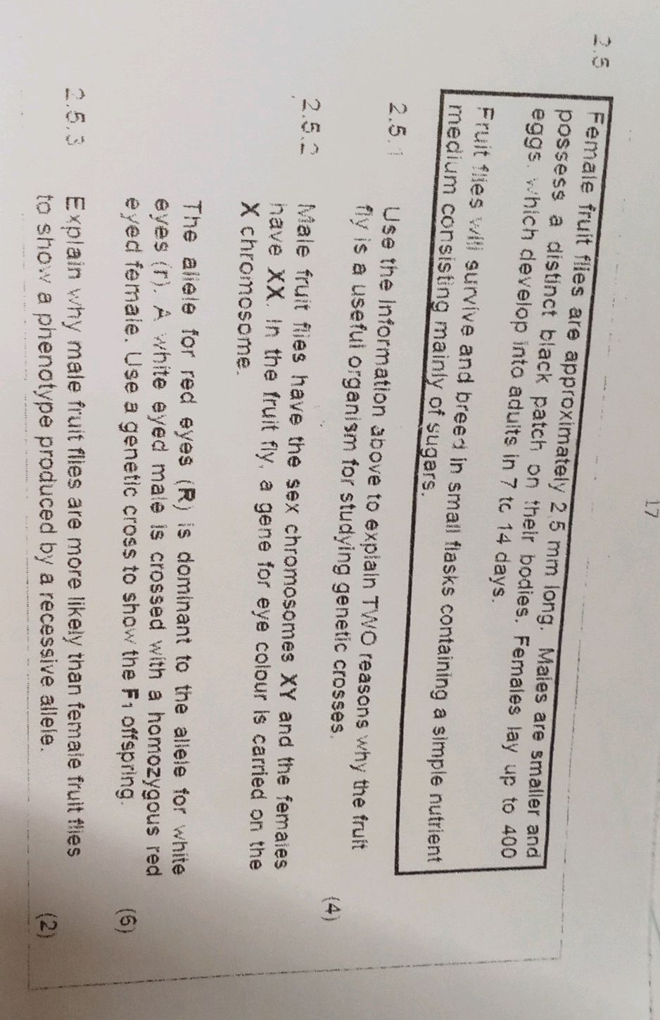 2. 5 2.5.1 Use the Information above to | StudyX