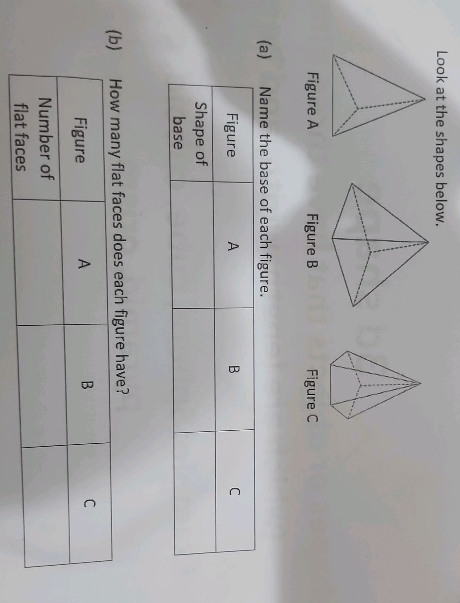 Look at the shapes below. (a) Name the base | StudyX
