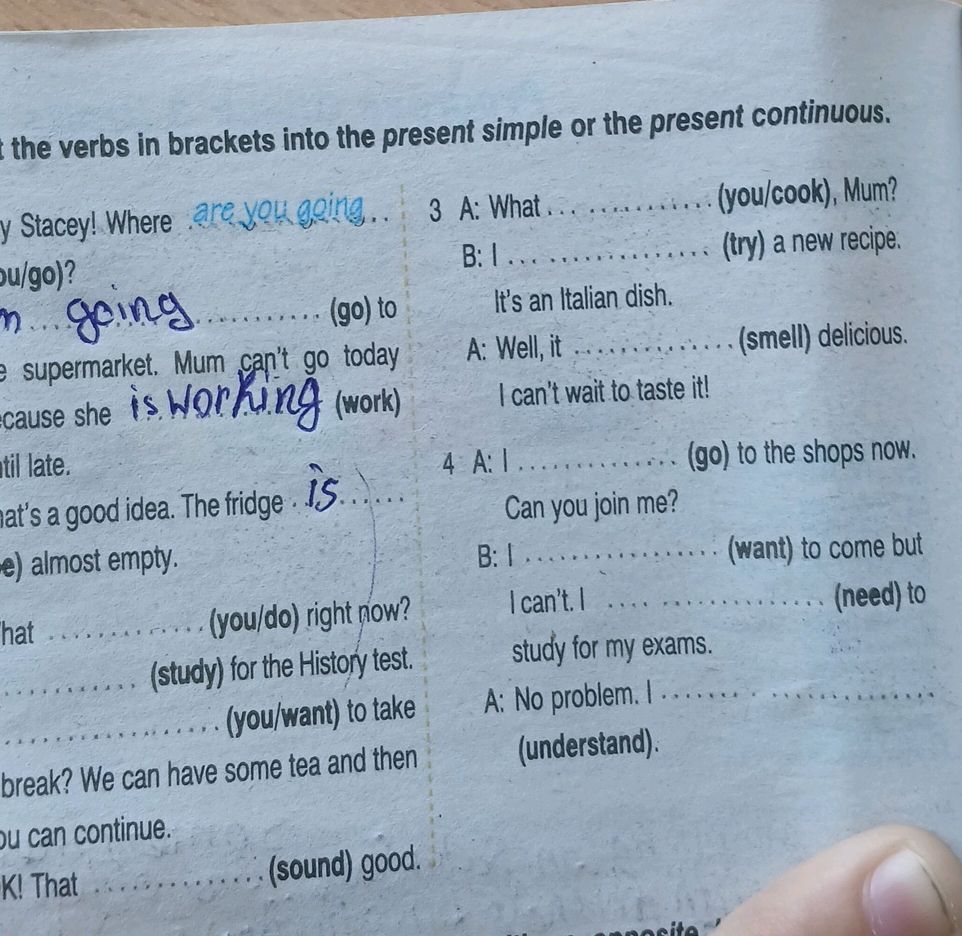 Put the verbs in brackets into the present | StudyX