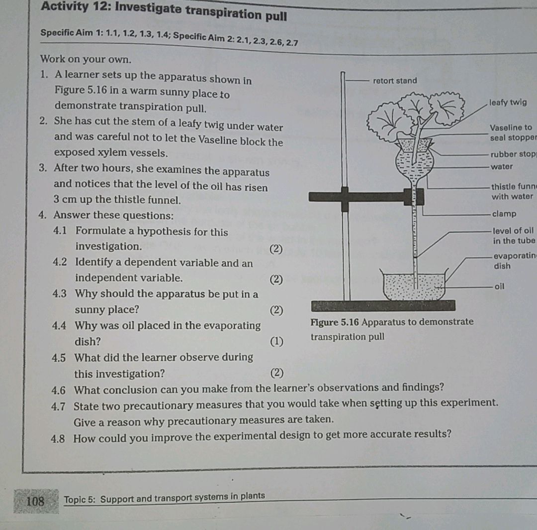 Activity 12: Investigate transpiration pull | StudyX