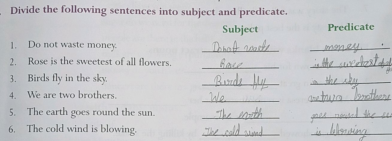 Divide the following sentences into subject | StudyX