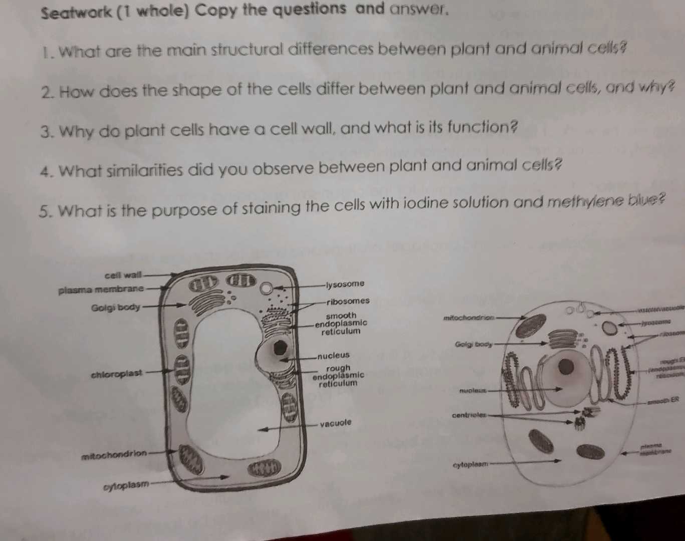 Seatwork (1 whole) Copy the questions and | StudyX