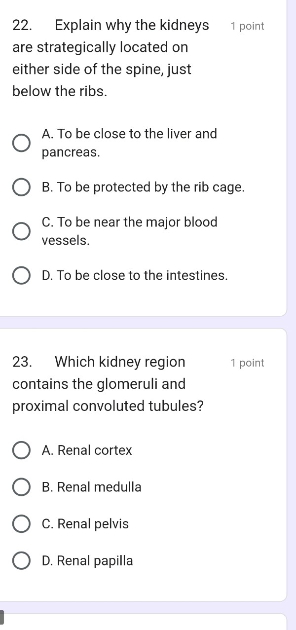 22 Explain why the kidneys 1 point are | StudyX