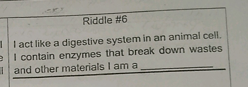 Riddle 6 I act like a digestive system in an | StudyX