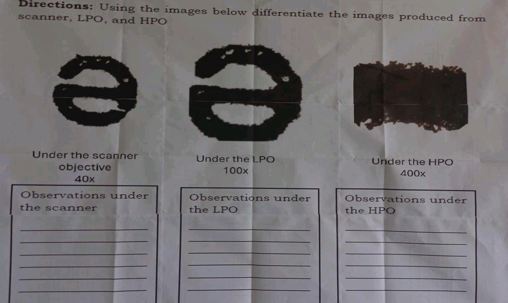 Directions Using the images below | StudyX