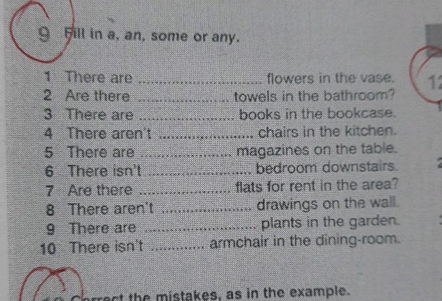 9 fill in a an some or any 1 There are | StudyX