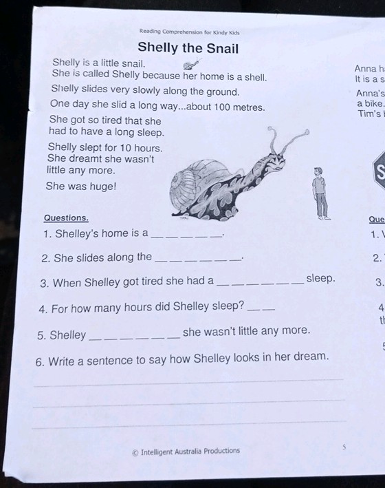 Reading Comprehension for Kindy Kids Shelly | StudyX