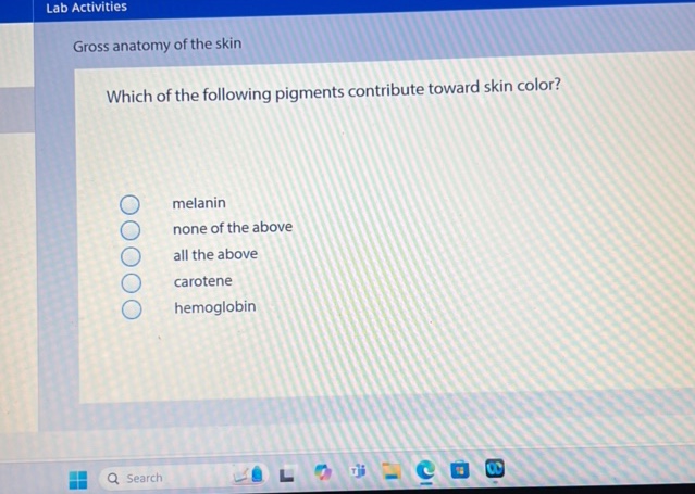 Lab Activities Gross anatomy of the skin | StudyX