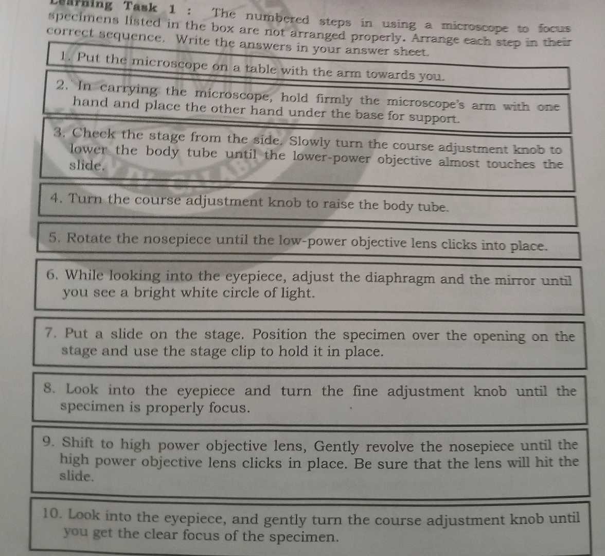 specimeg Task 1 The numbered steps in using | StudyX